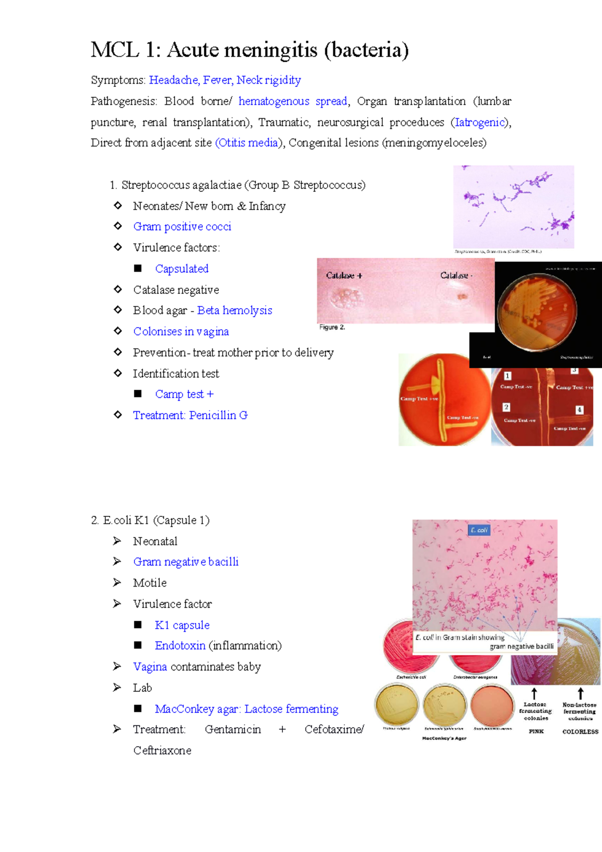 MCL 1 Acute meningitis( Bacteria) - Symptoms: Headache, Fever, Neck ...