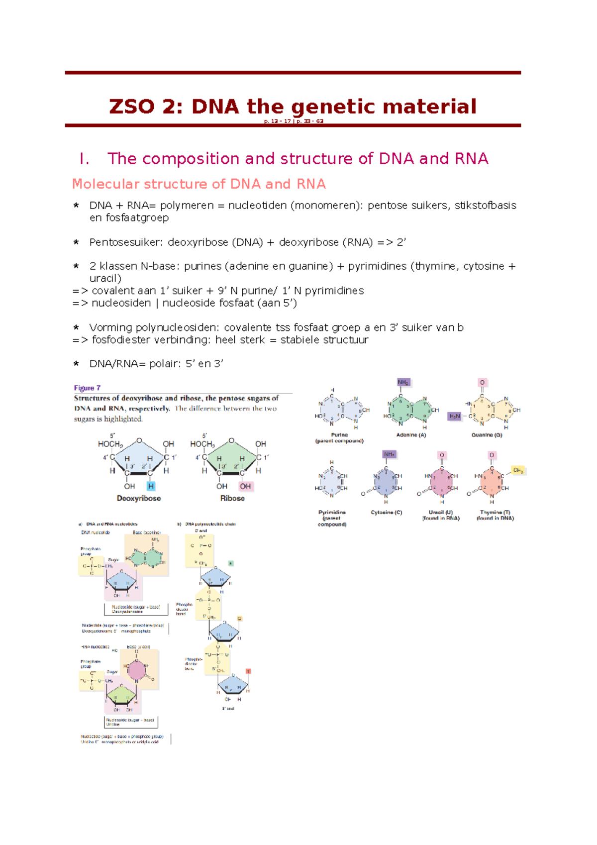 2 structuur DNA en samenstelling mitochondriaak genoom - ZSO 2: DNA the ...
