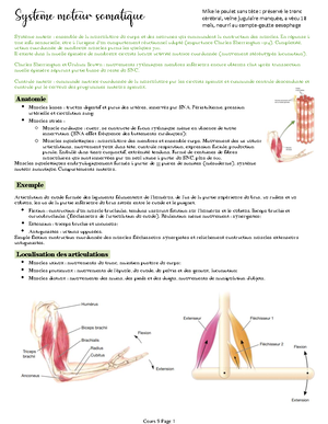 Neurulation et Différenciation - LA NEURULATION NEURULATION : le ...