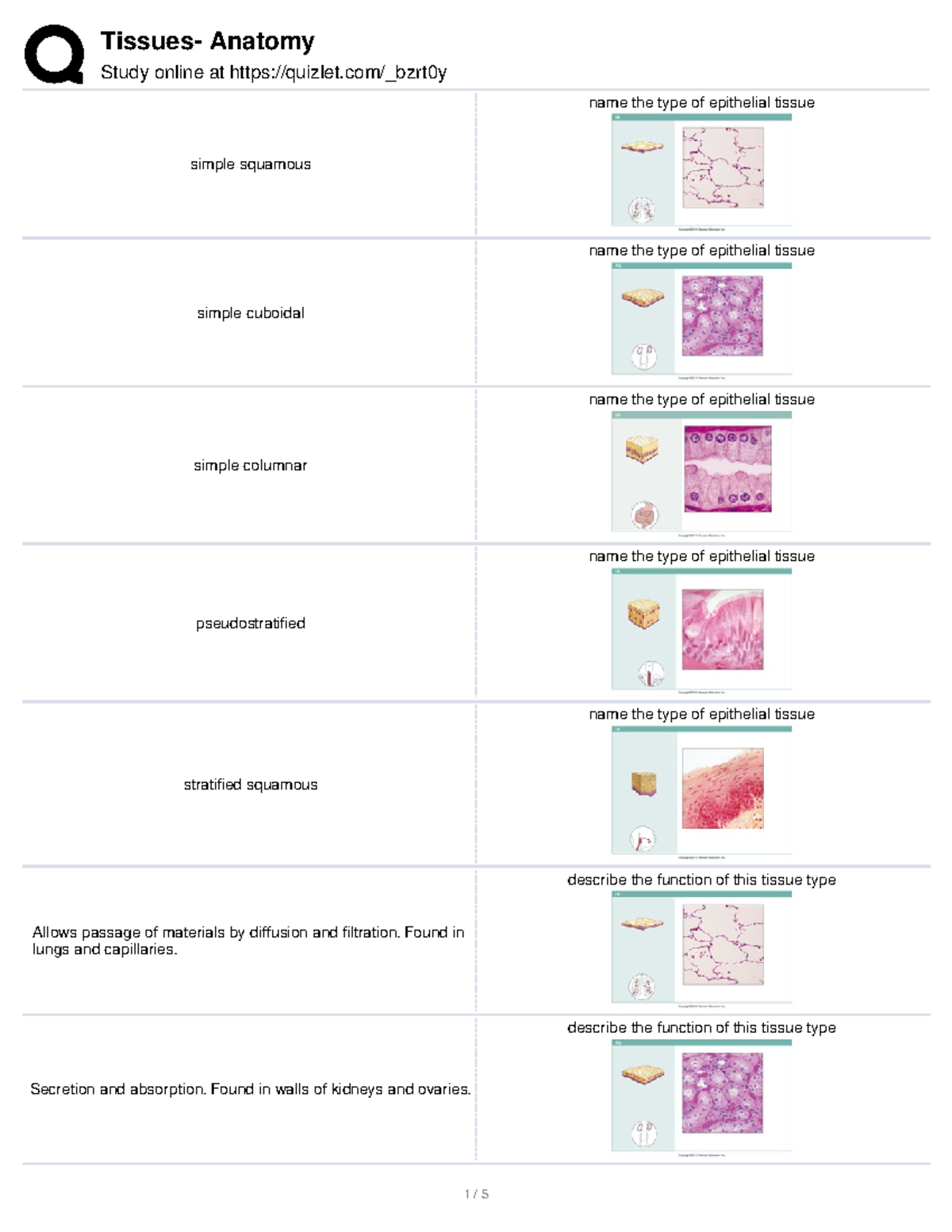 Tissues - Study online at quizlet/_bzrt0y simple squamous name the type ...