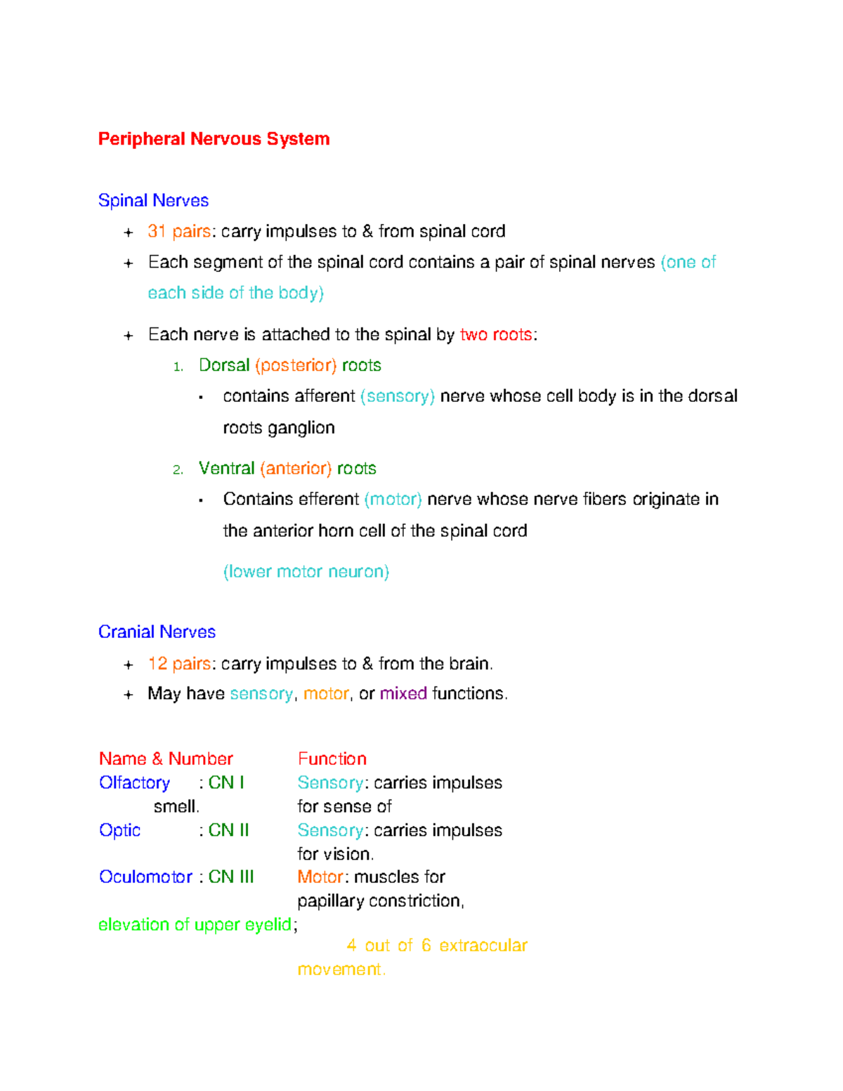 Peripheral Nervous System - Peripheral Nervous System Spinal Nerves 31 ...