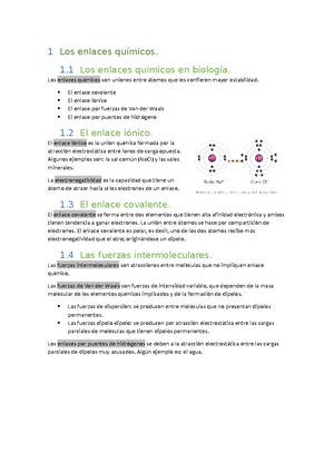 Unidad 3 - resumen de clase - 1 IDEAS FUNDAMENTALES. UNIDAD 3 ...