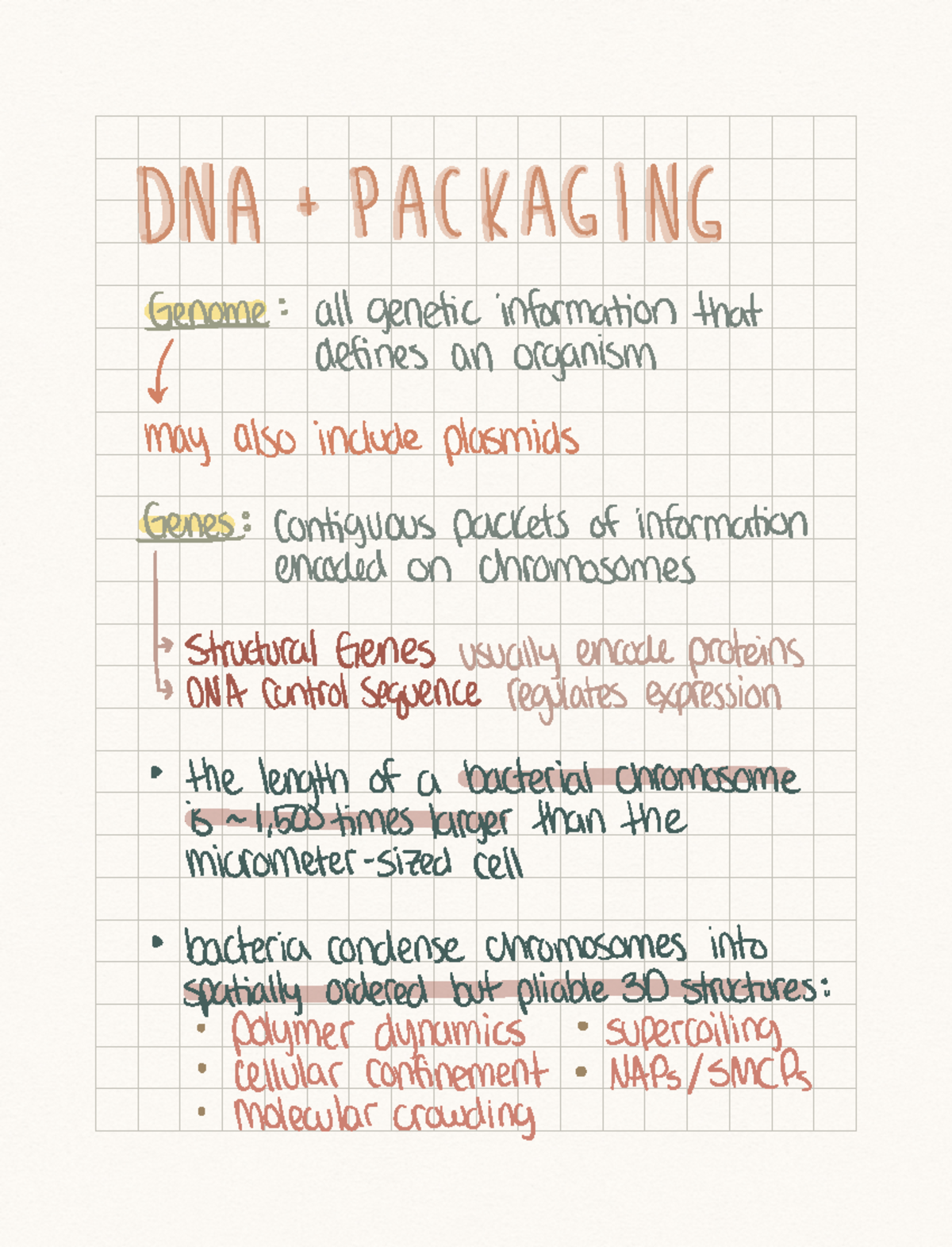 Lecture 7 Notes - DNA PACKAGING Genome all genetic information that f ...