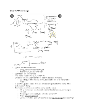 BIOL 1107 Exam 4 Study Guide - Exam 4 Study Guide SI Chapter 11: Cell ...