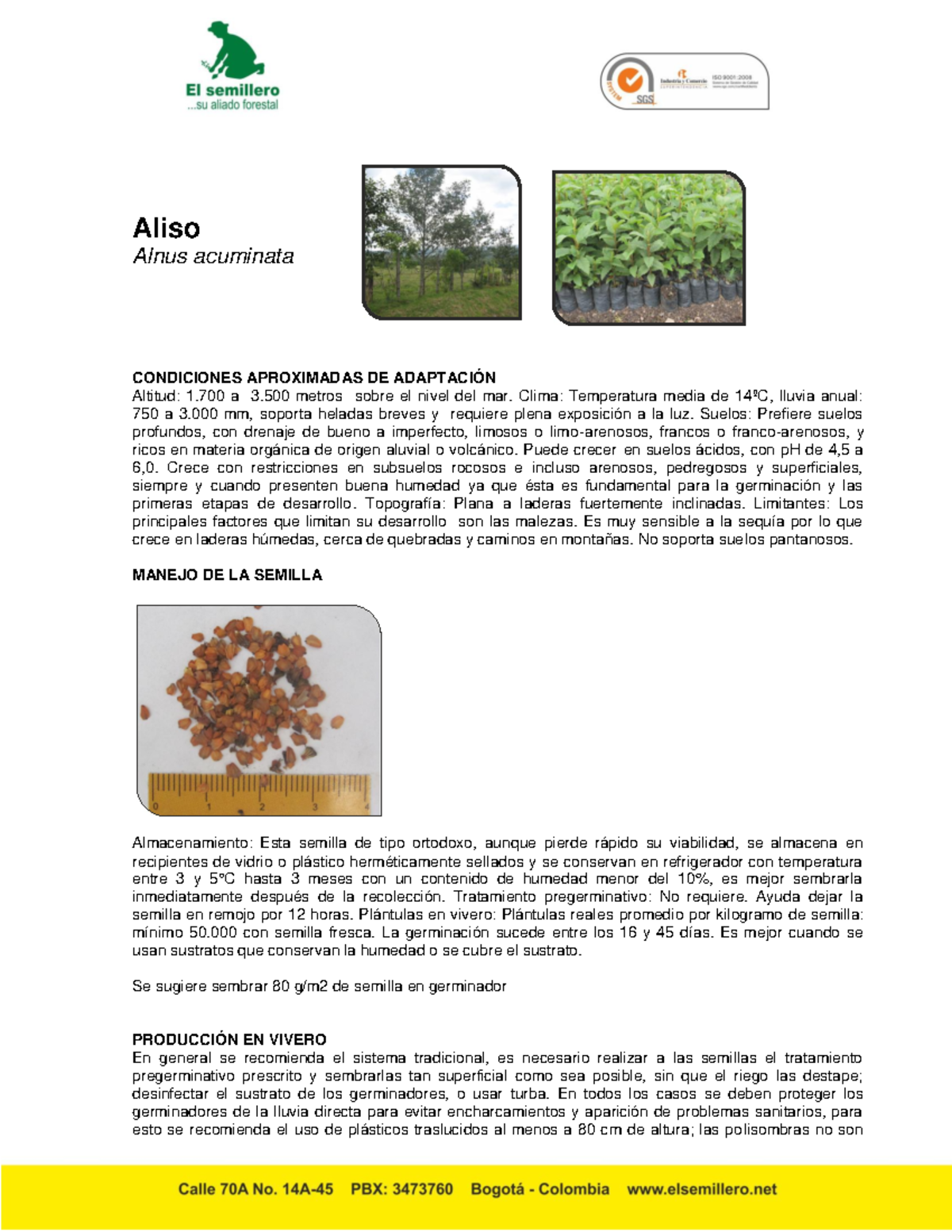 Aliso - Aliso Alnus acuminata CONDICIONES APROXIMADAS DE ADAPTACIÓN ...