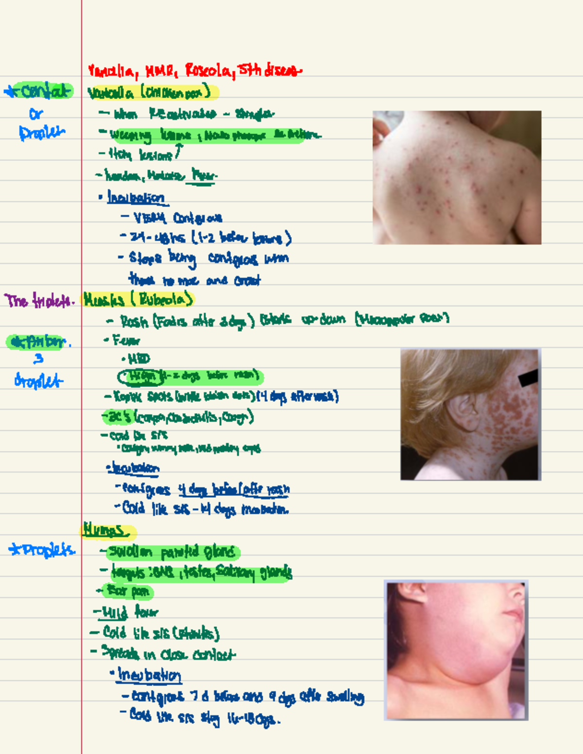 Handout - Varicella , MMR , Roscola , 5th disees * cantat Varicella ...