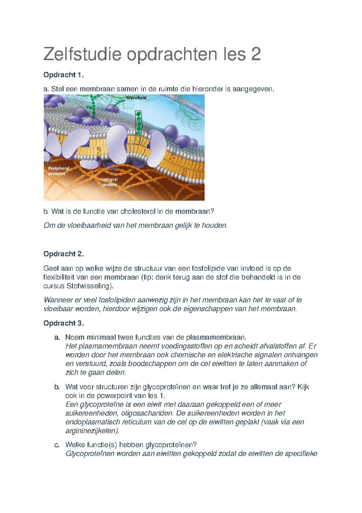 Zelfstudie opdrachten les 2 organellen - Zel fstudi e opdr acht en les ...