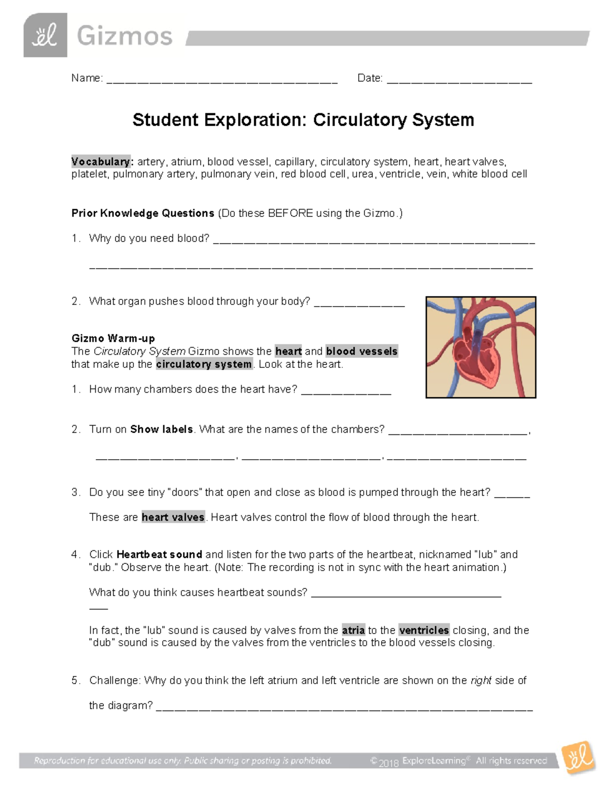 Circulatory System SE - a gizmos activity done for improving education ...
