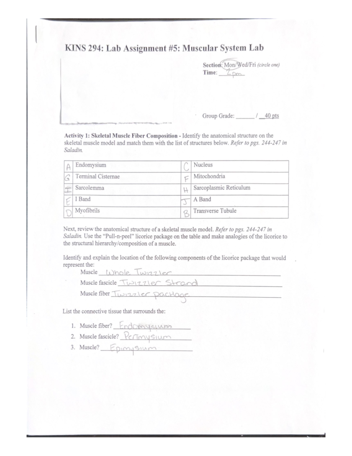 Kins 294 Lab Assignment #5 Muscular System Lab 2 - KINS 294: Lab ...