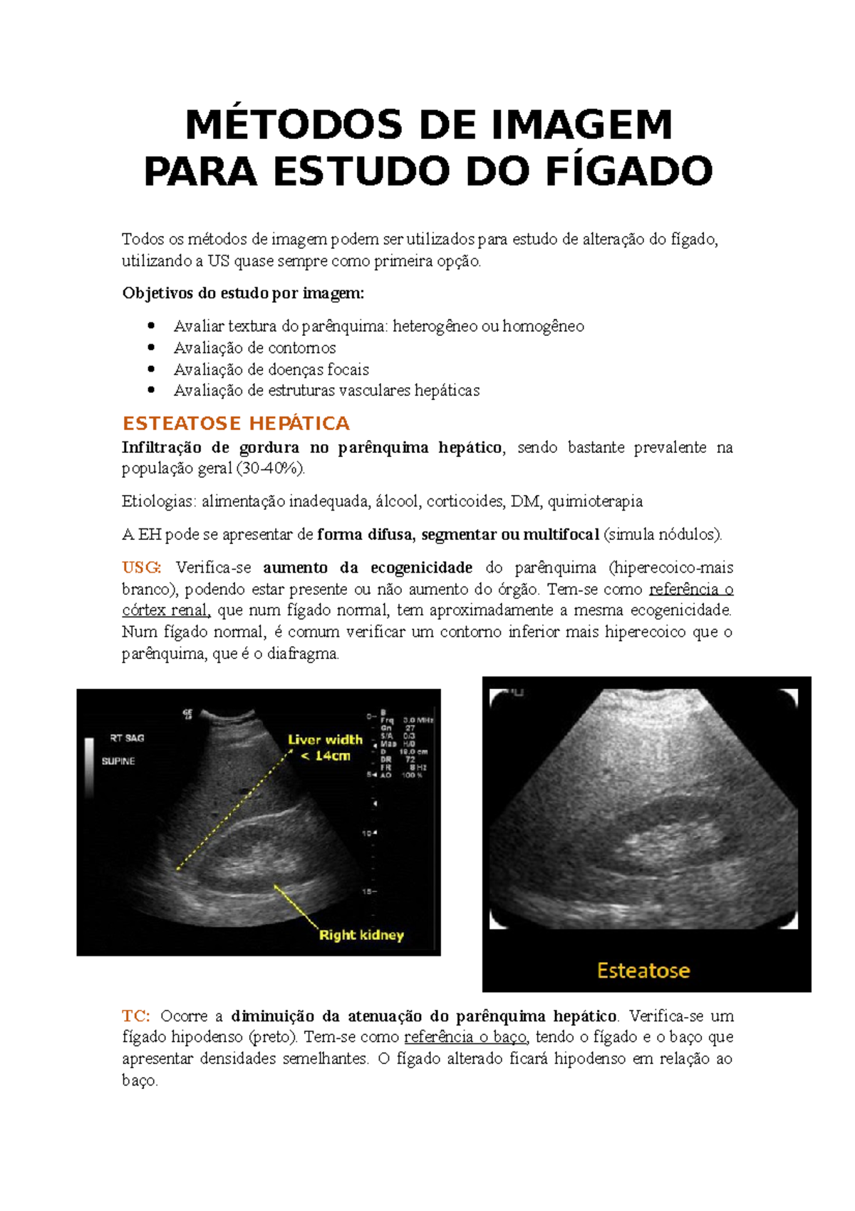 Exames DE Imagem do Fígado - MÉTODOS DE IMAGEM PARA ESTUDO DO FÍGADO ...