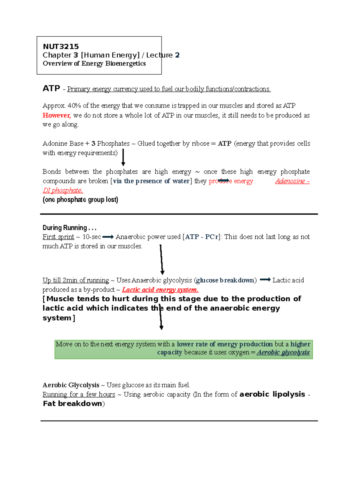 Lecture 2 Bioenergetics - NUT Chapter 3 [Human Energy] / Lecture 2 Overview of Energy ...