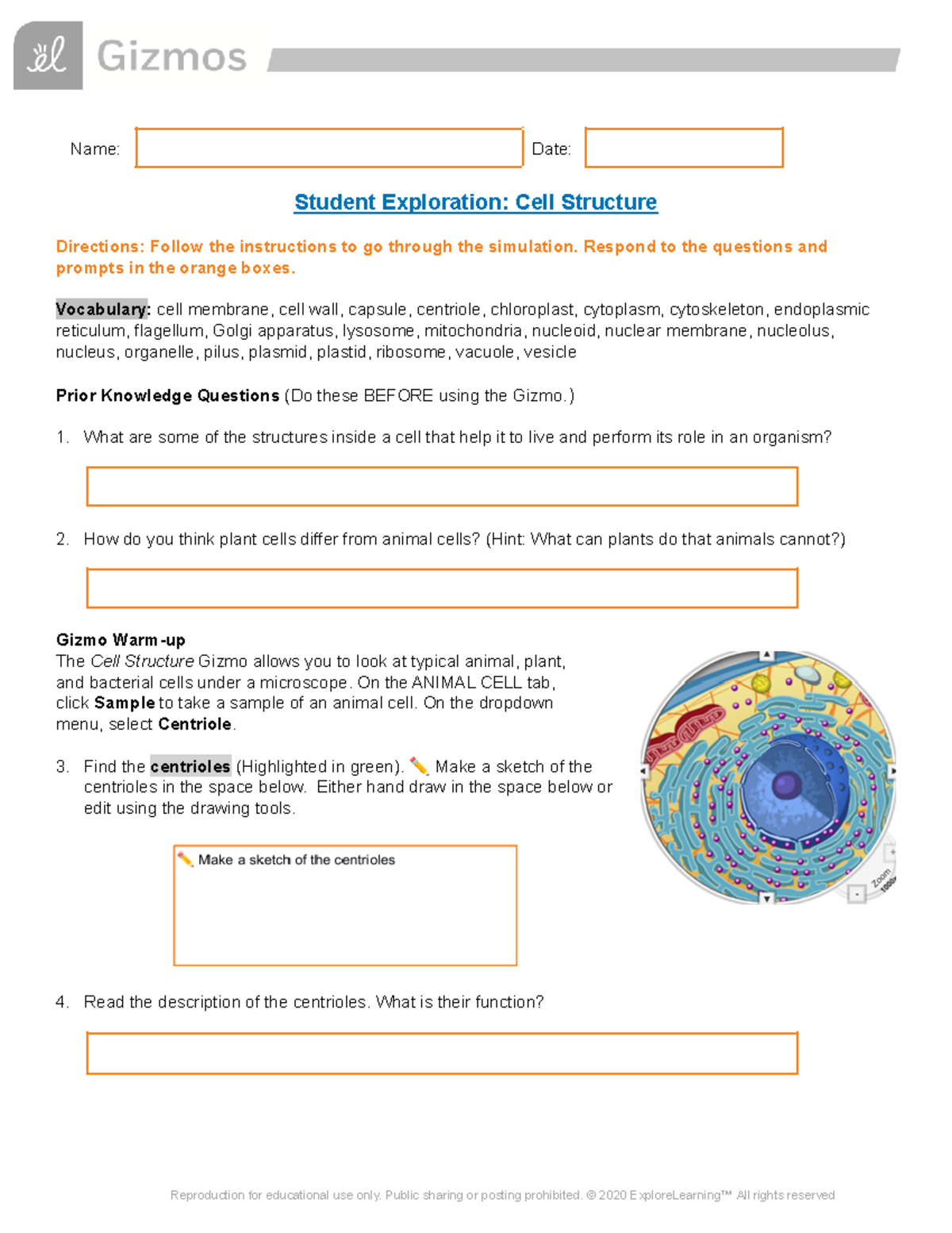 Cell Structure Study Guide - Studocu