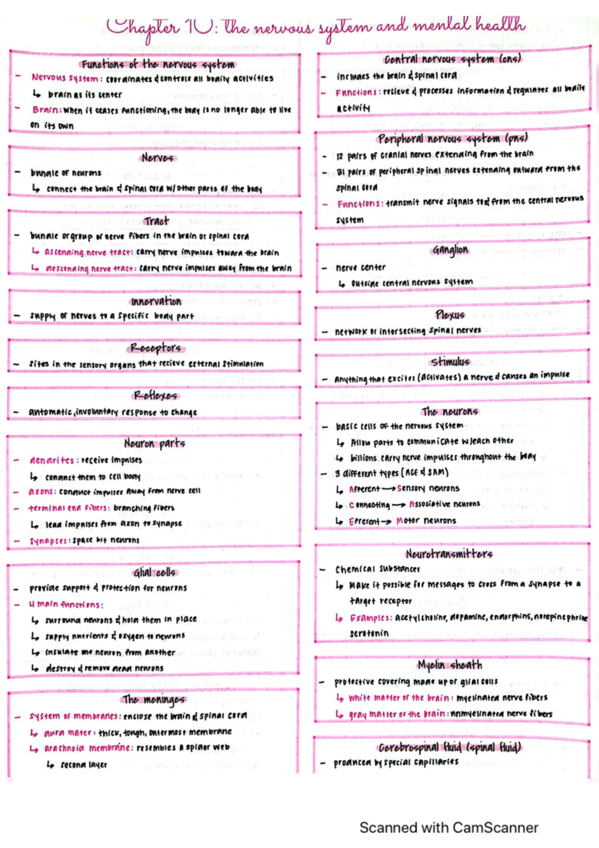 chapter 10: the nervous system and mental health - Chapter IU: the ...