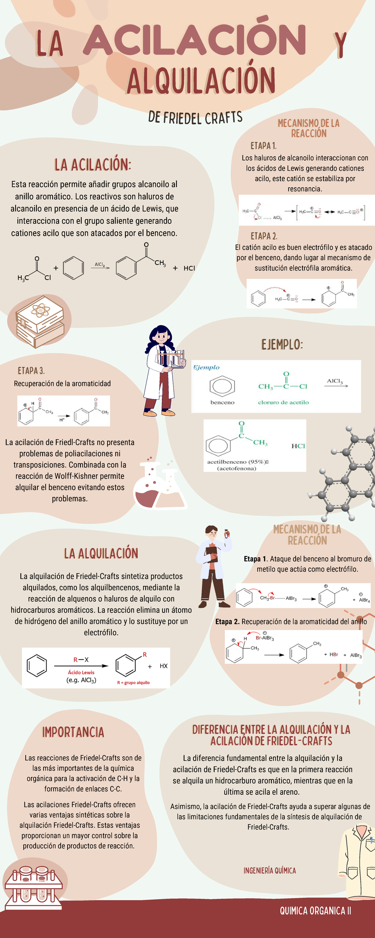 Infografia acilacion y alquilacion - IMPORTANCIAIMPORTANCIA ...