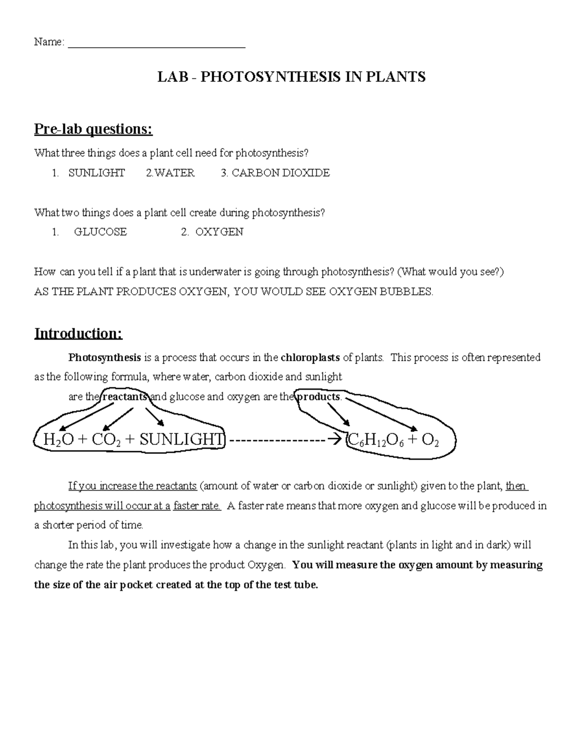 Answers for Photosynthesis LAB - Name ...