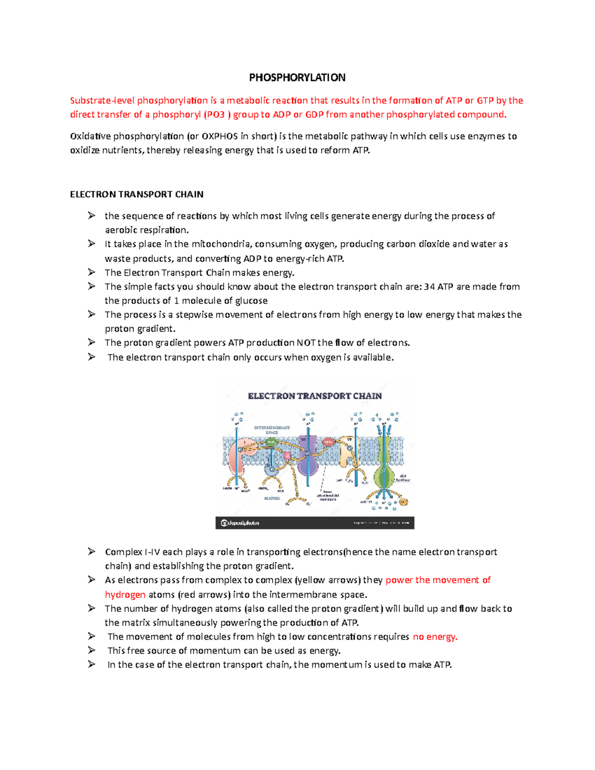 Phosphorylation (cellular respiration) - PHOSPHORYLATION Substrate ...