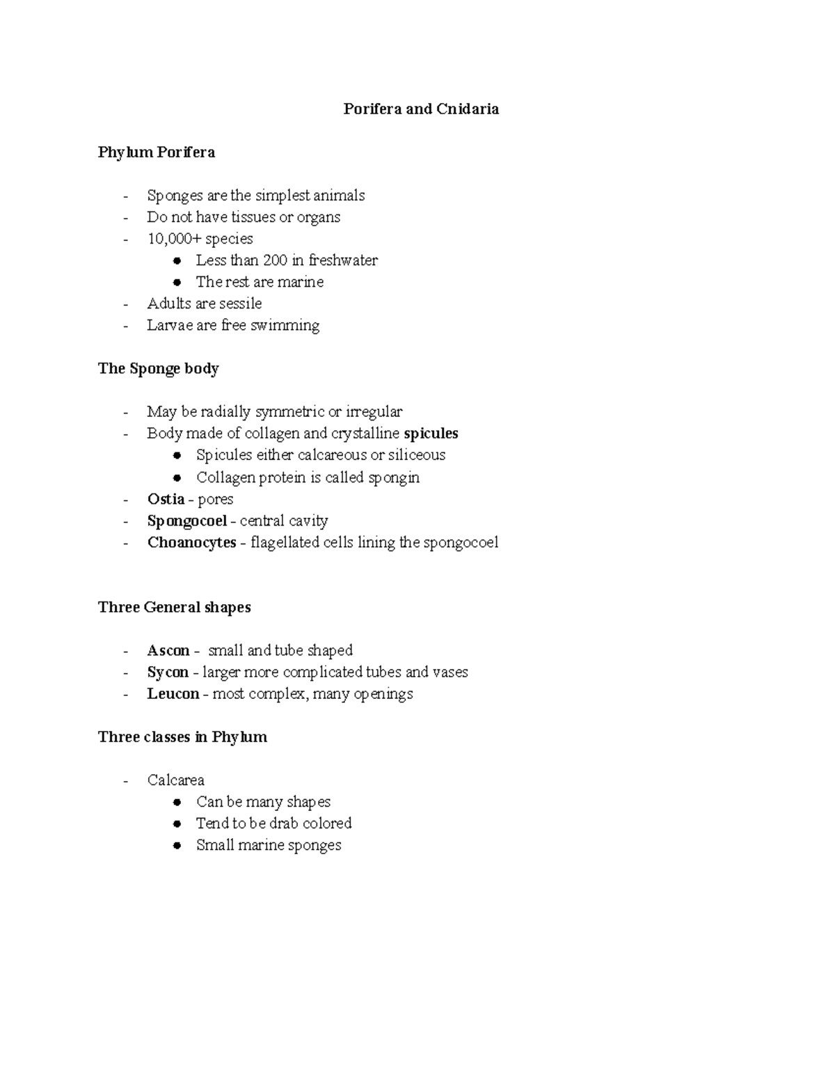Bio 2 - lab 8 - lab 8 work - Porifera and Cnidaria Phylum Porifera ...