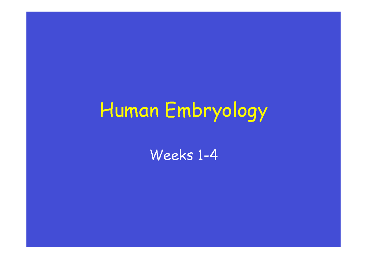 Robert Embryology notes 1 - Human Embryology Weeks 1 - 4 Week 1 Week 1 ...