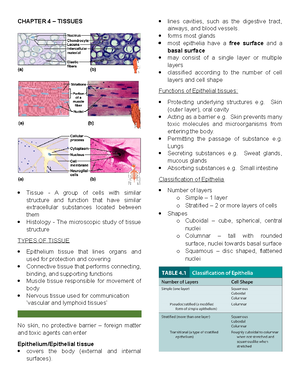 Anaphy Chapter 7 Muscular System - MUSCULAR SYSTEM Functions Muscles are responsible for: - Studocu
