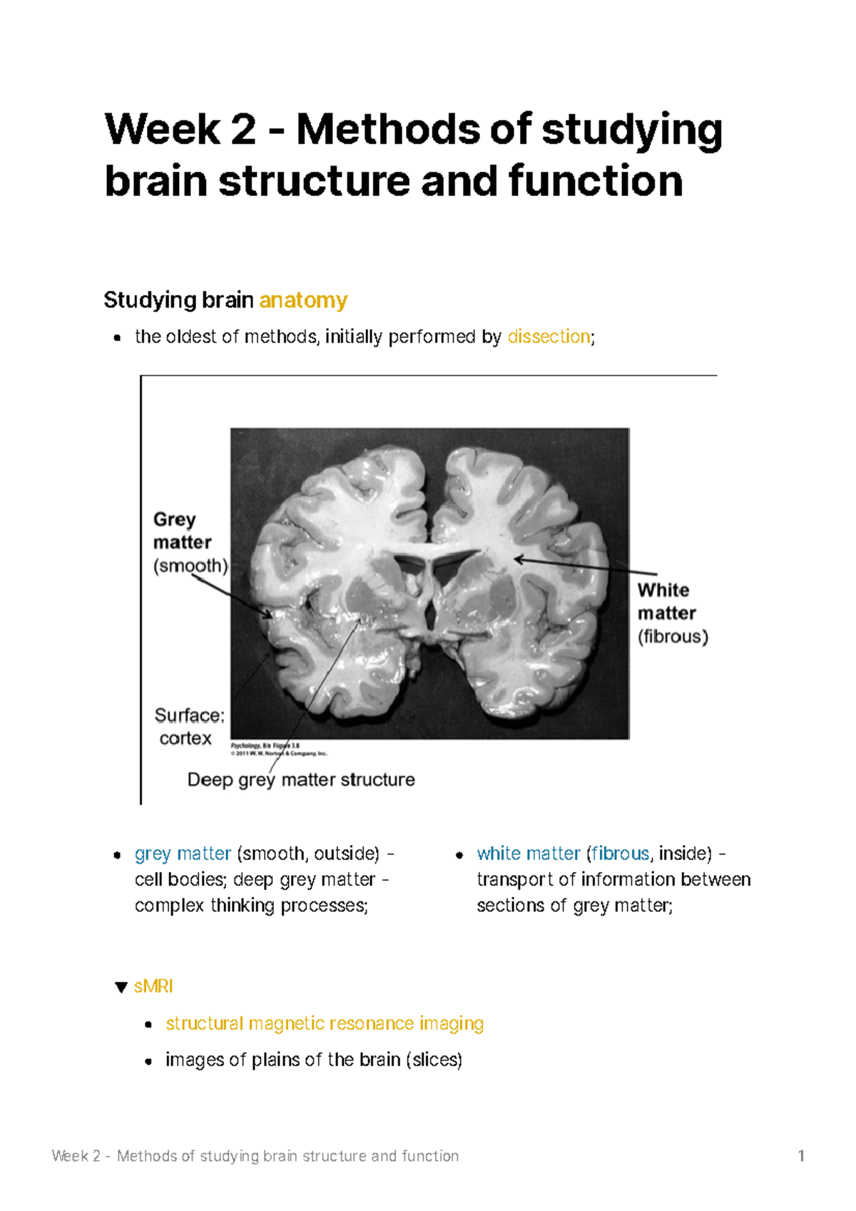 Week 2 - Methods of studying brain structure and function - water ...