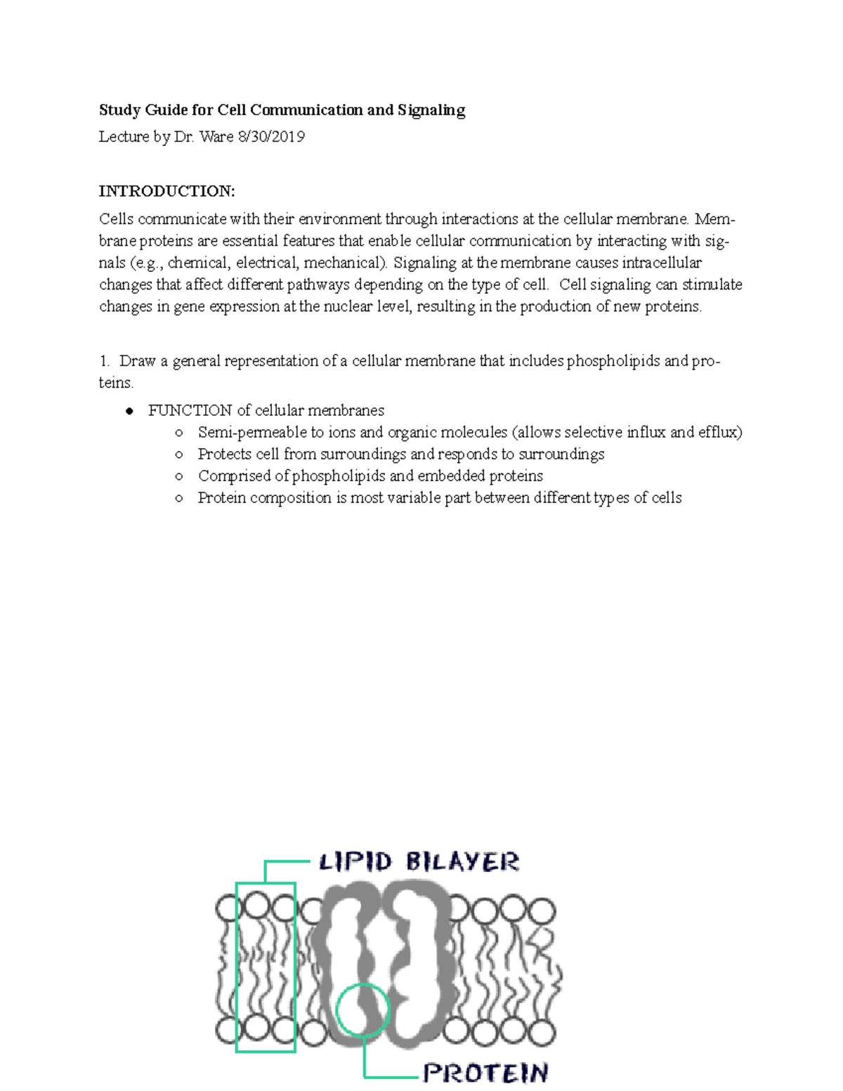 Cell Communication and Signaling - Study Guide for Cell Communication ...