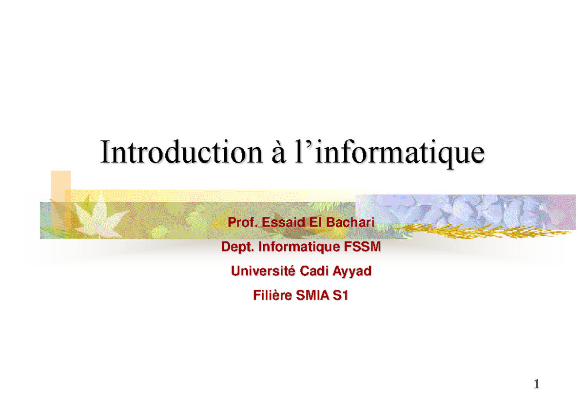 Chapitre 5-v3 - Cours d'Informatique SMIA s1 par Prf. Essaid El Bachari - Introduction à - Studocu