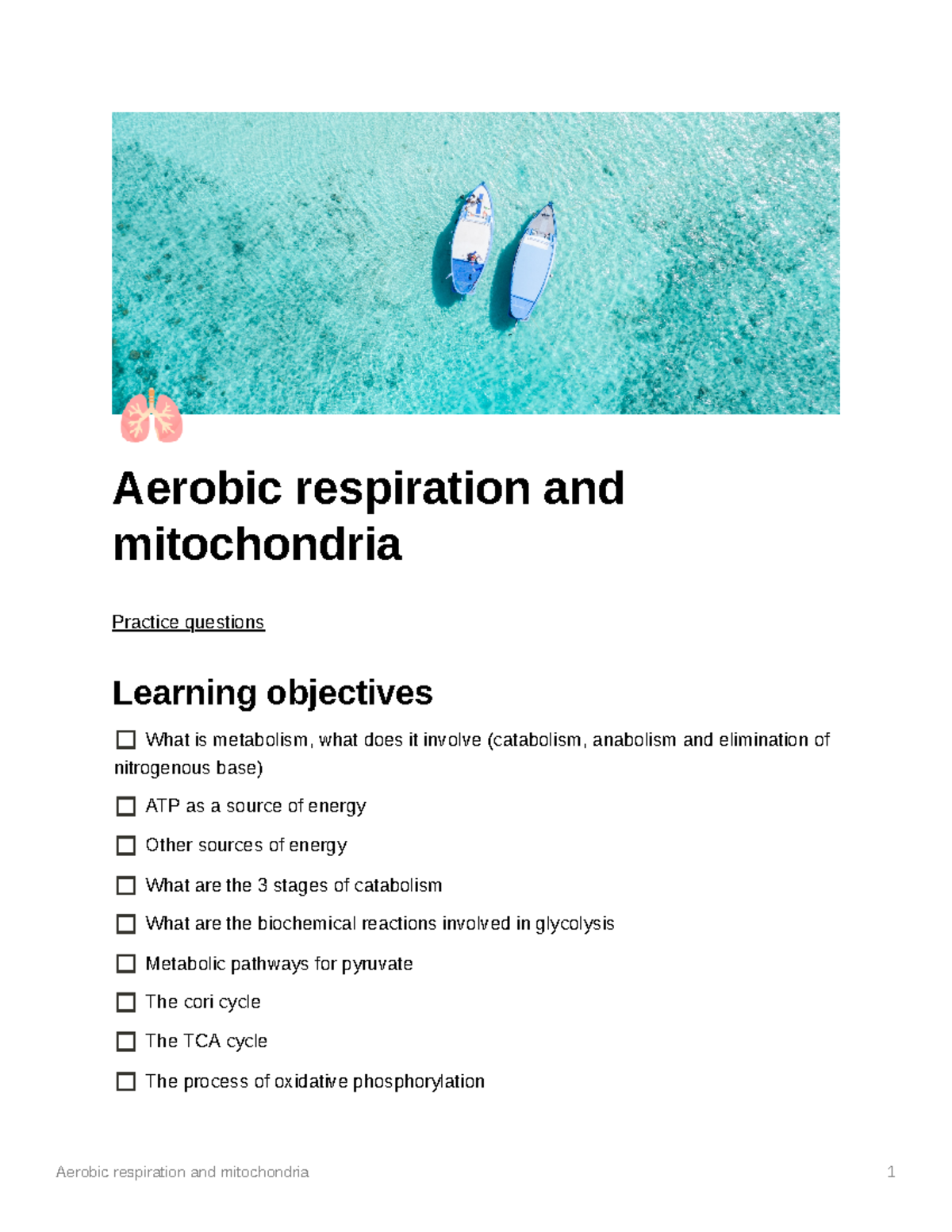 Aerobic respiration and mitochondria - i Aerobic respiration and ...