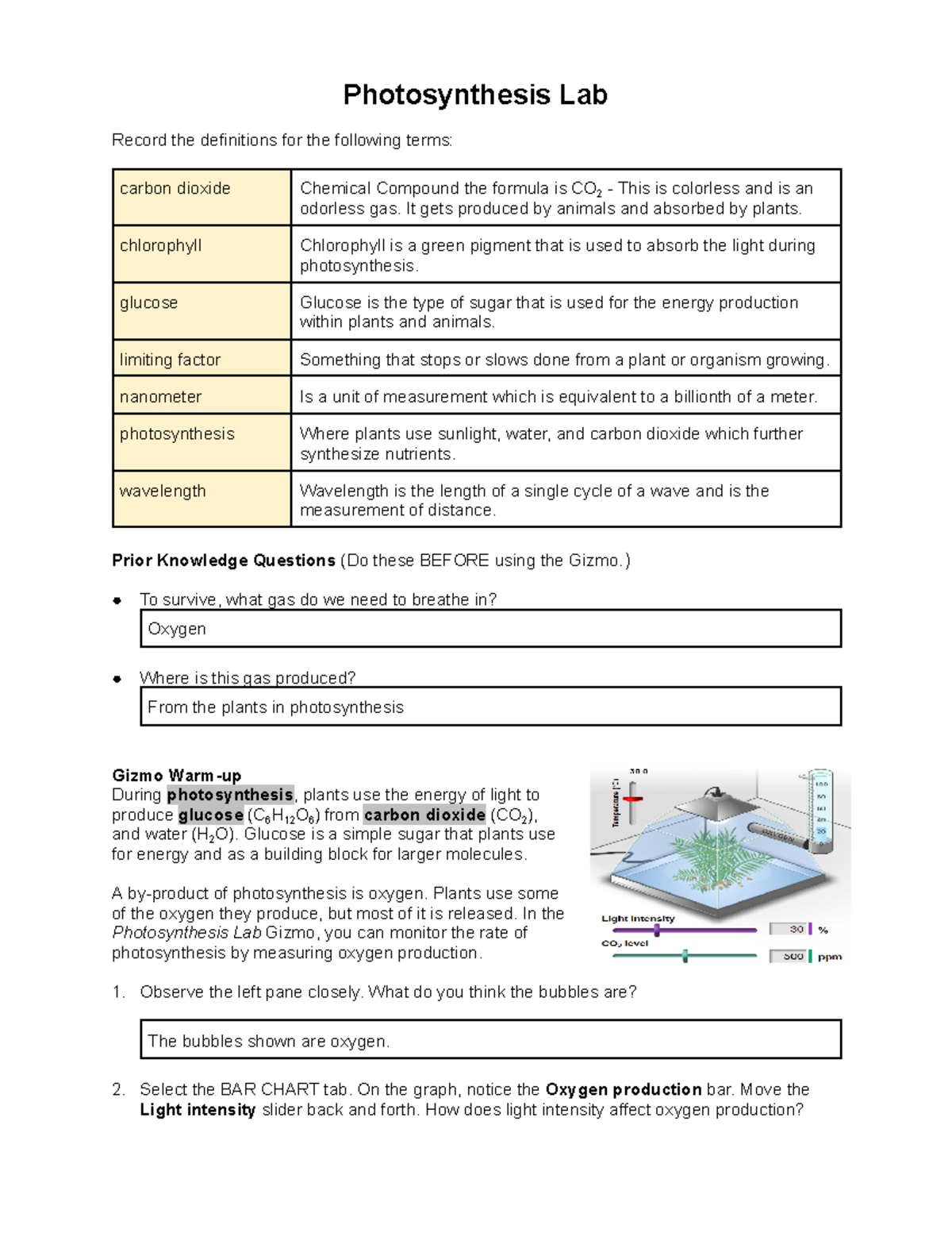Copy of Photosynthesis Workbook - Photosynthesis Lab Record the ...