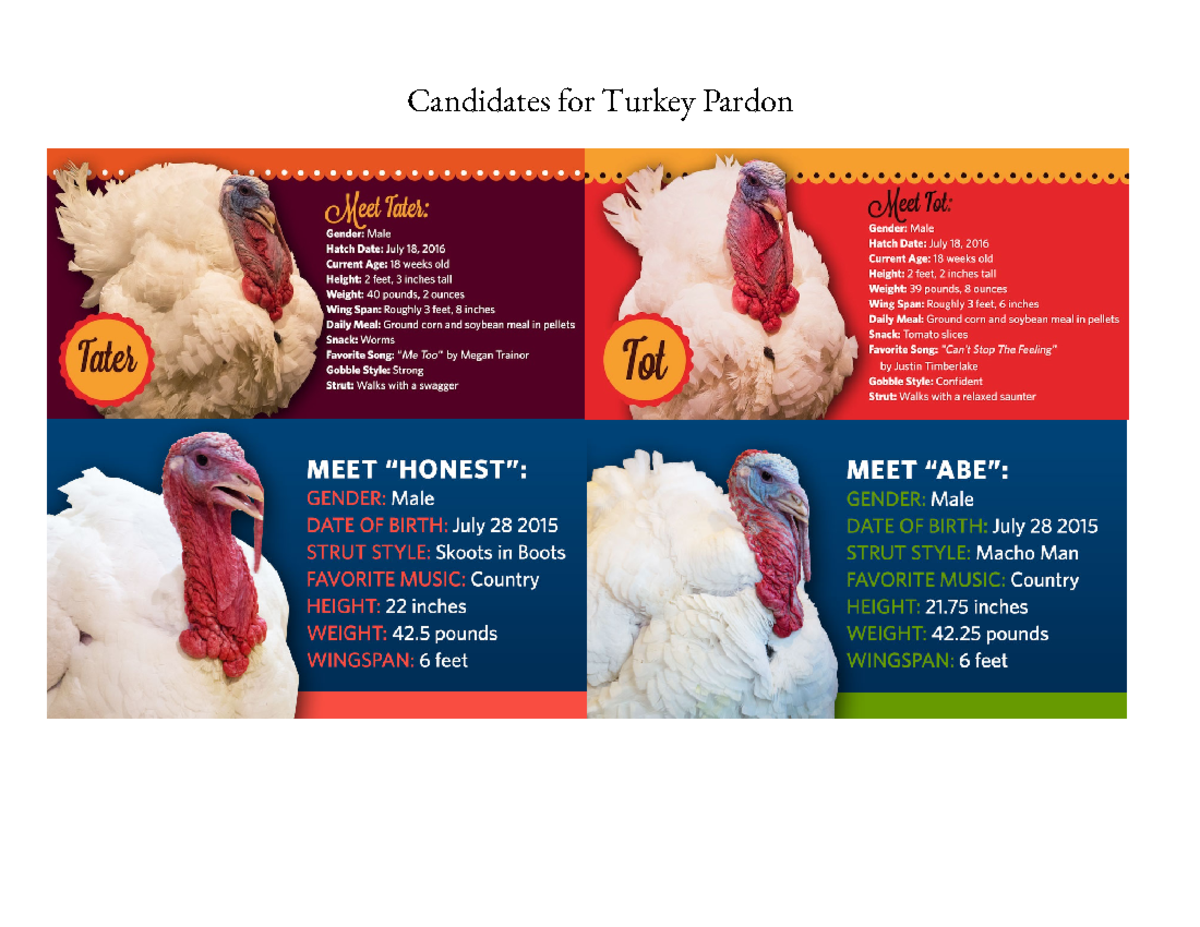 Thanksgiving Turkey Pardon.docx - Google Docs - Candidates for Turkey ...