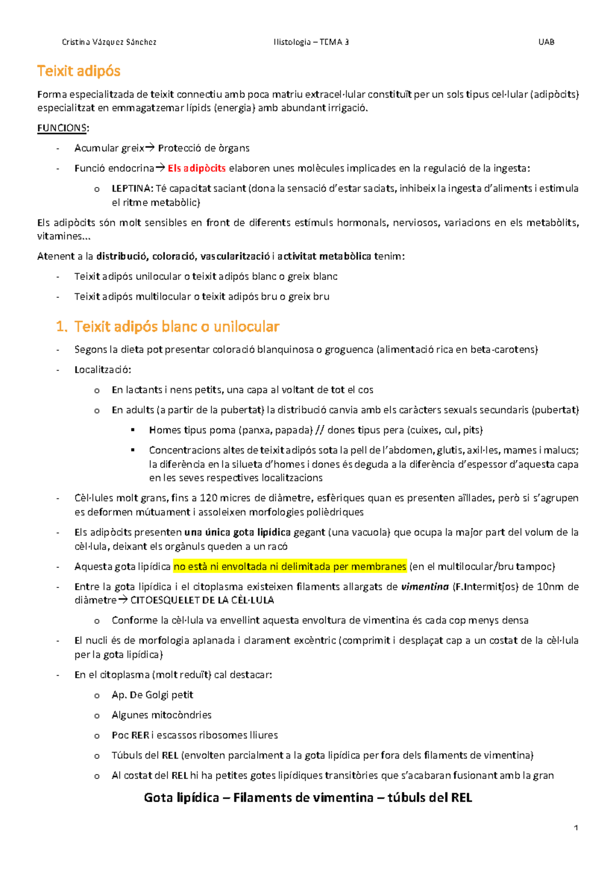 TEMA 3 (Teixit adipós) - Cristina Vázquez Sánchez Histologia – TEMA 3 ...