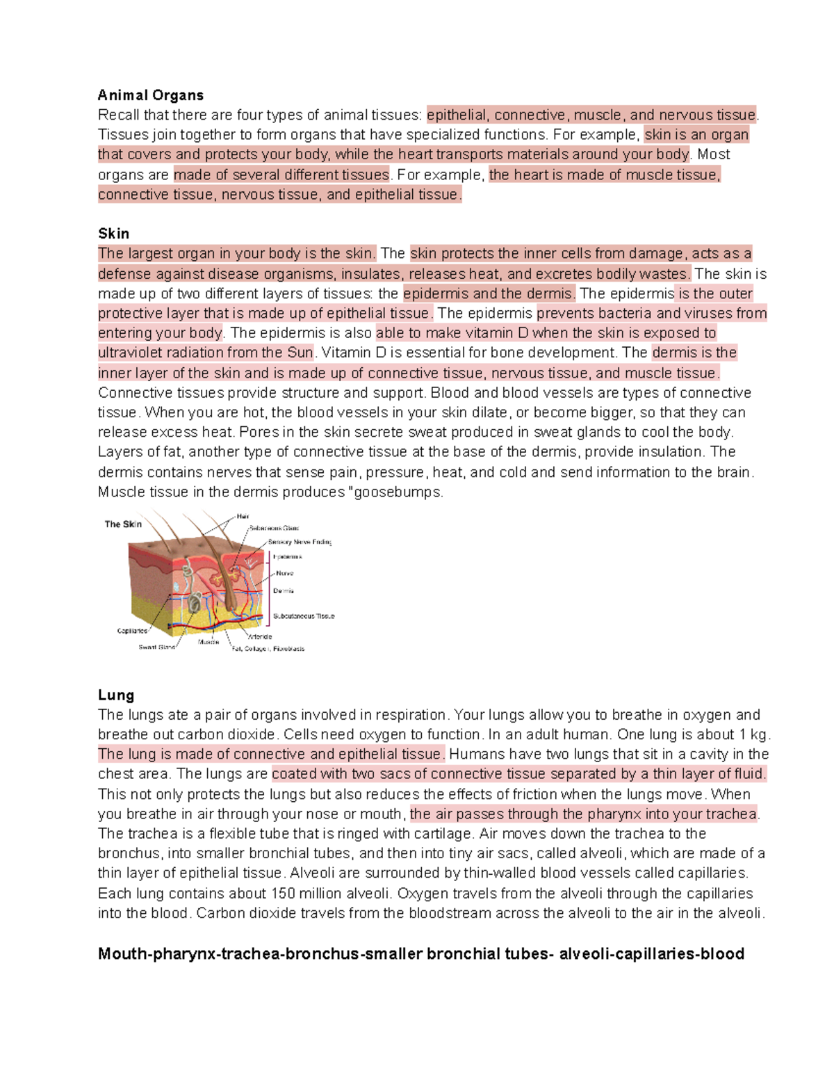 Organs AND Organ Systems - Animal Organs Recall that there are four ...