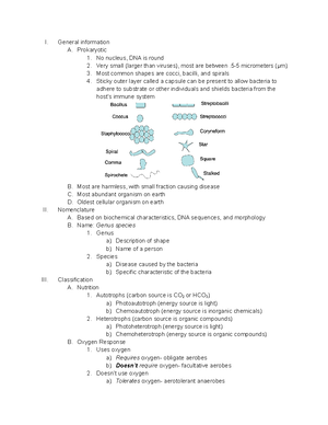 Bacteria Concept Map - Bacteria cocci bacilli spirals Nomenclature ...