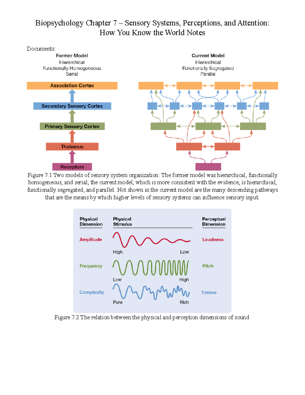 Biopsychology Chapter 7 Notes - Biopsychology Chapter 7 – Sensory ...