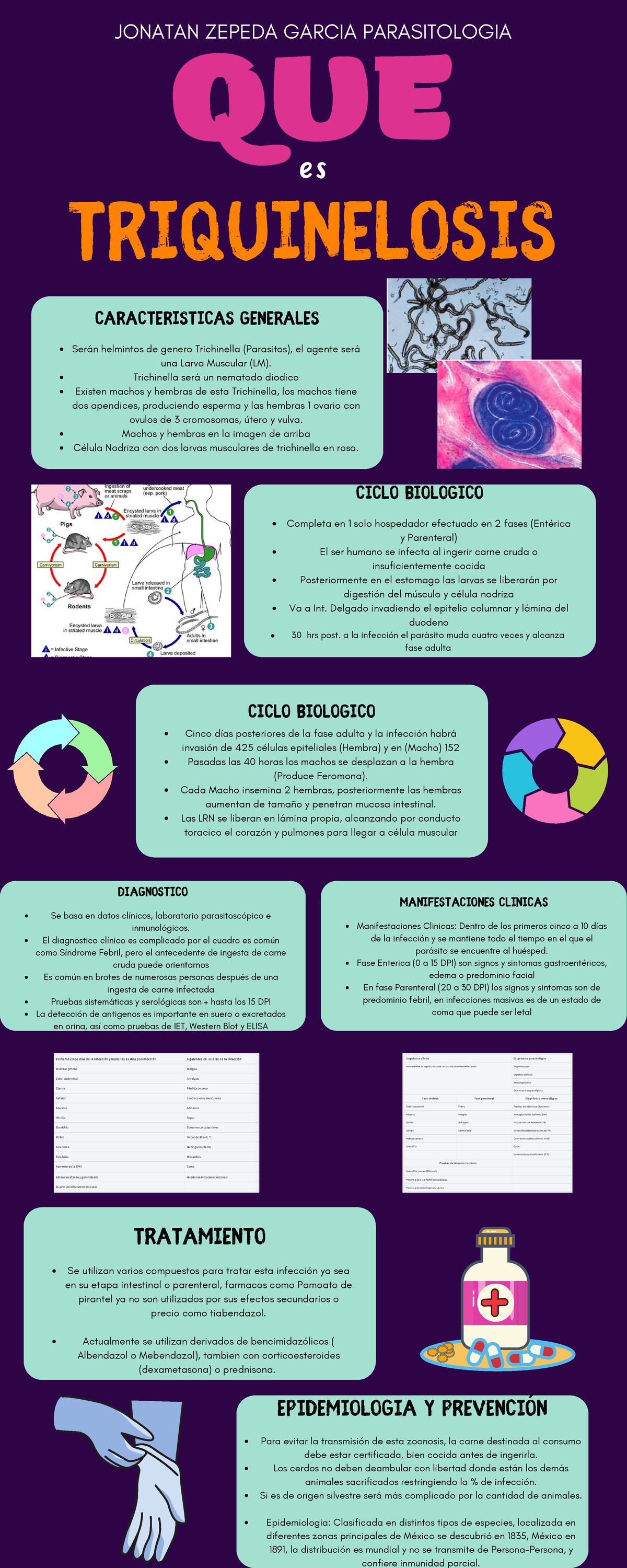 Jonatan Zepeda Garcia - Infografia sobre la Triquinosis Parasitaria ...
