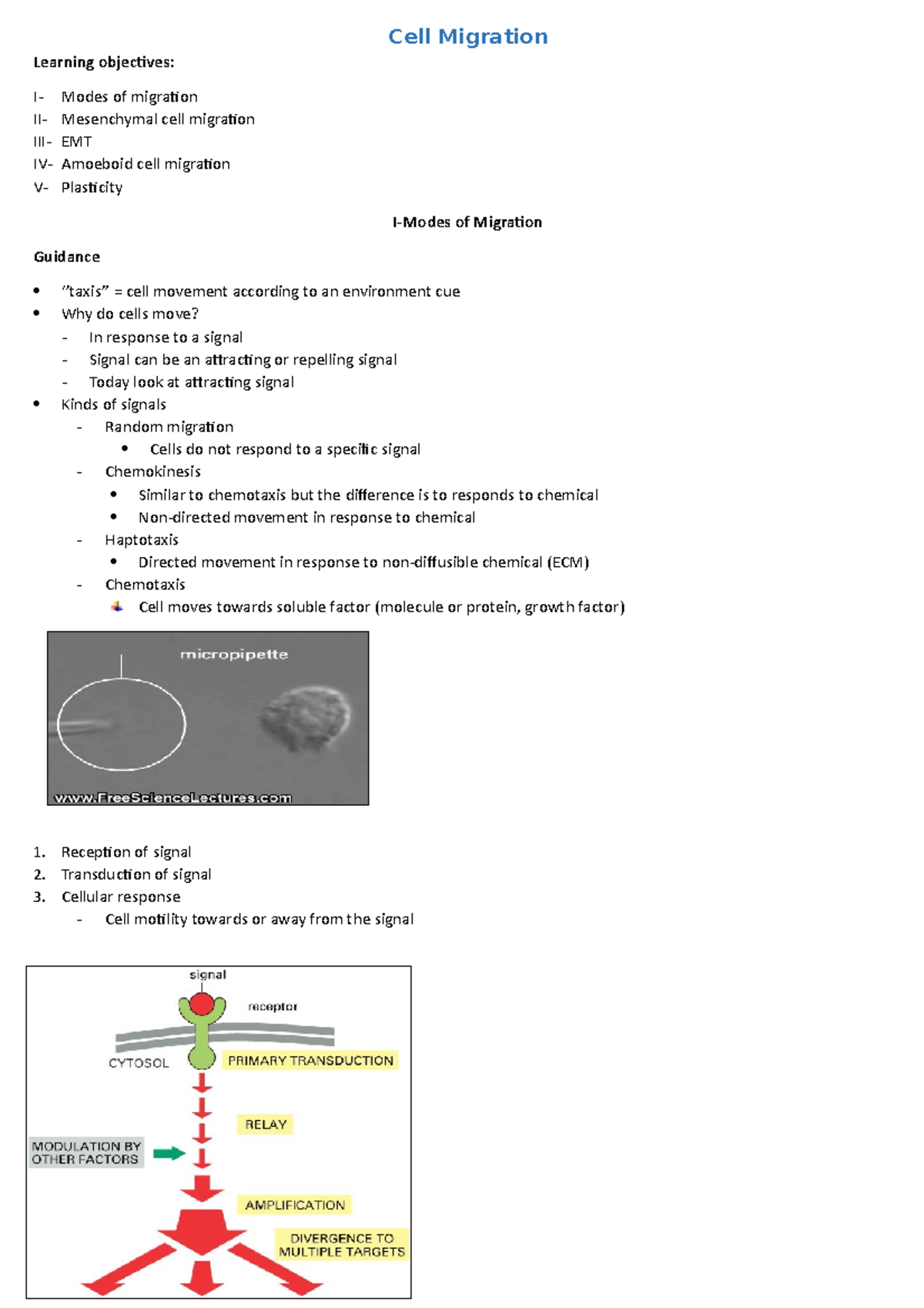 8. Lecture 21 Notes - Cell Migration Learning objecives: I- Modes of ...