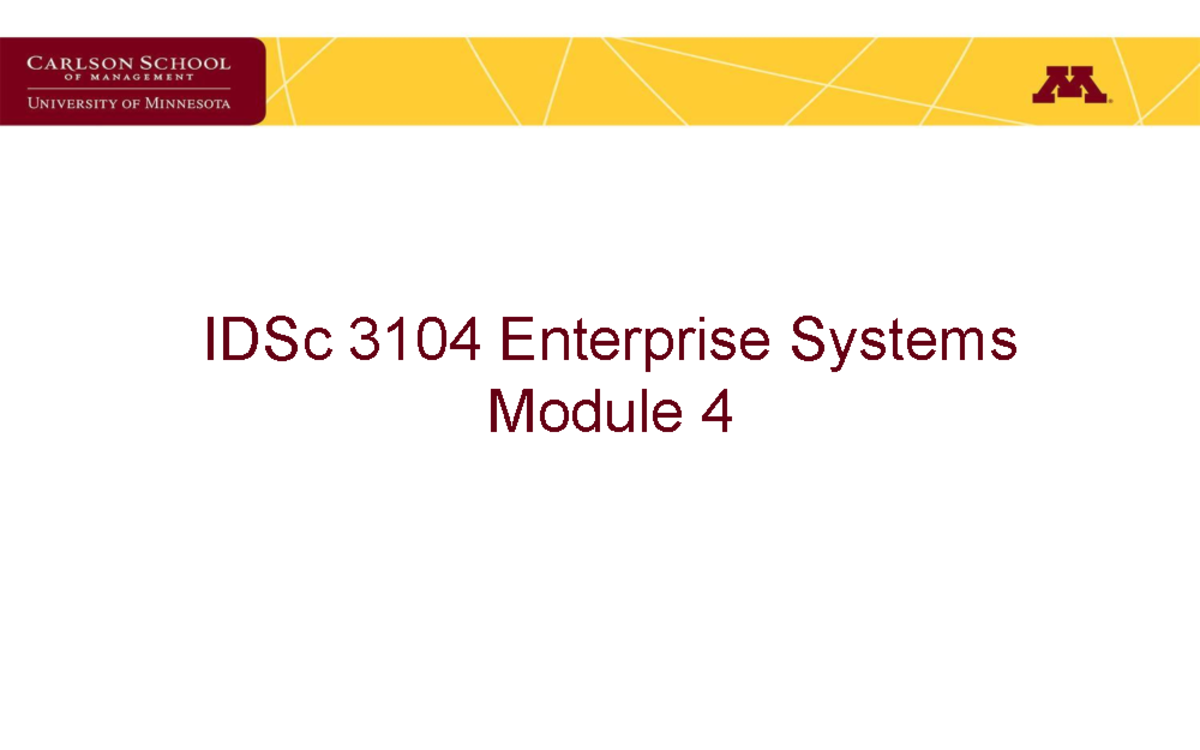 3104 F24 Module 4 v4 - Lecture notes and slides - IDSc 3104 Enterprise ...