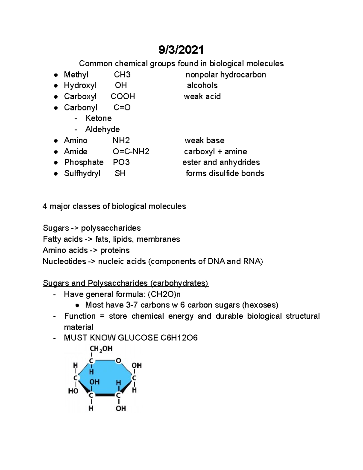 BIO 213 Exam 1 Lecture Notes - 9/3/ Common chemical groups found in ...