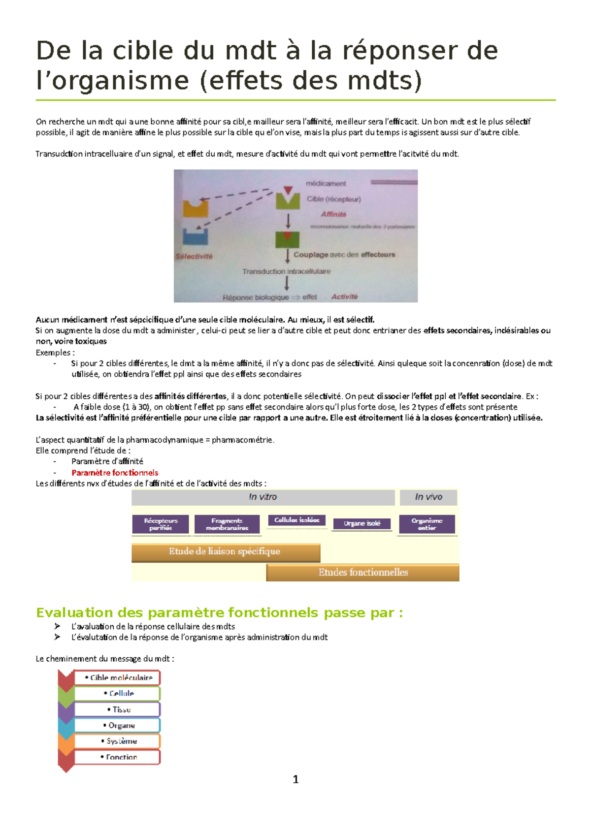 15-De la cible du mdt à la réponser de l’organisme (effets des mdts ...