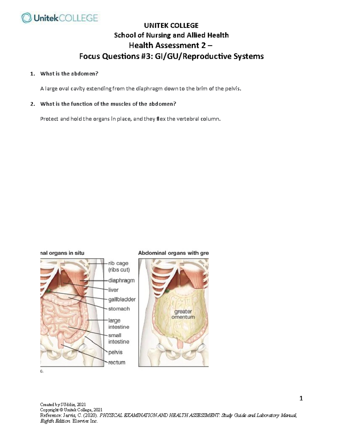 Focus Questions 3- GI, GU, and Reproductive Systems - UNITEK COLLEGE ...