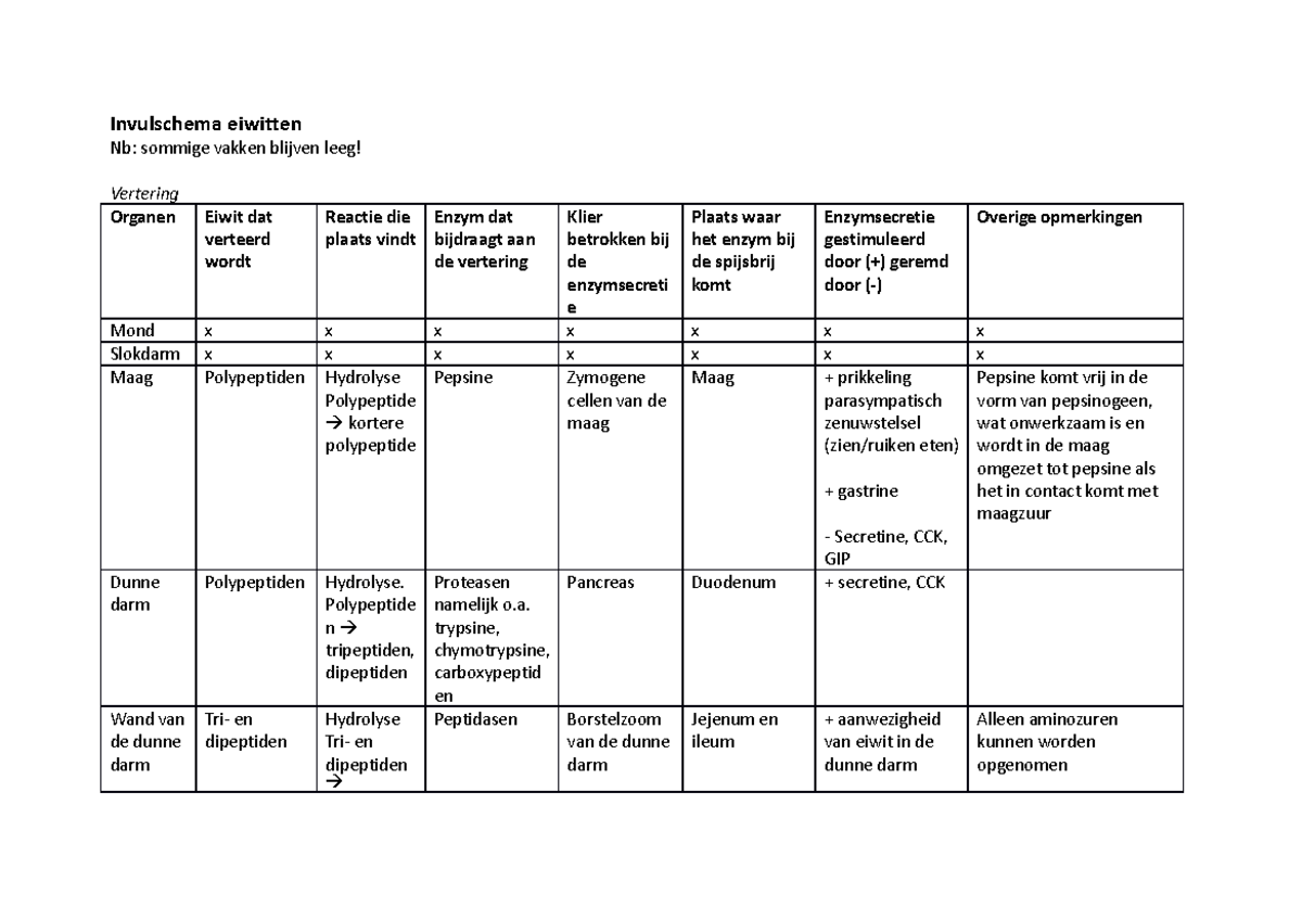 Invulschema eiwitten - Polypeptide n tripeptiden, dipeptiden Proteasen ...