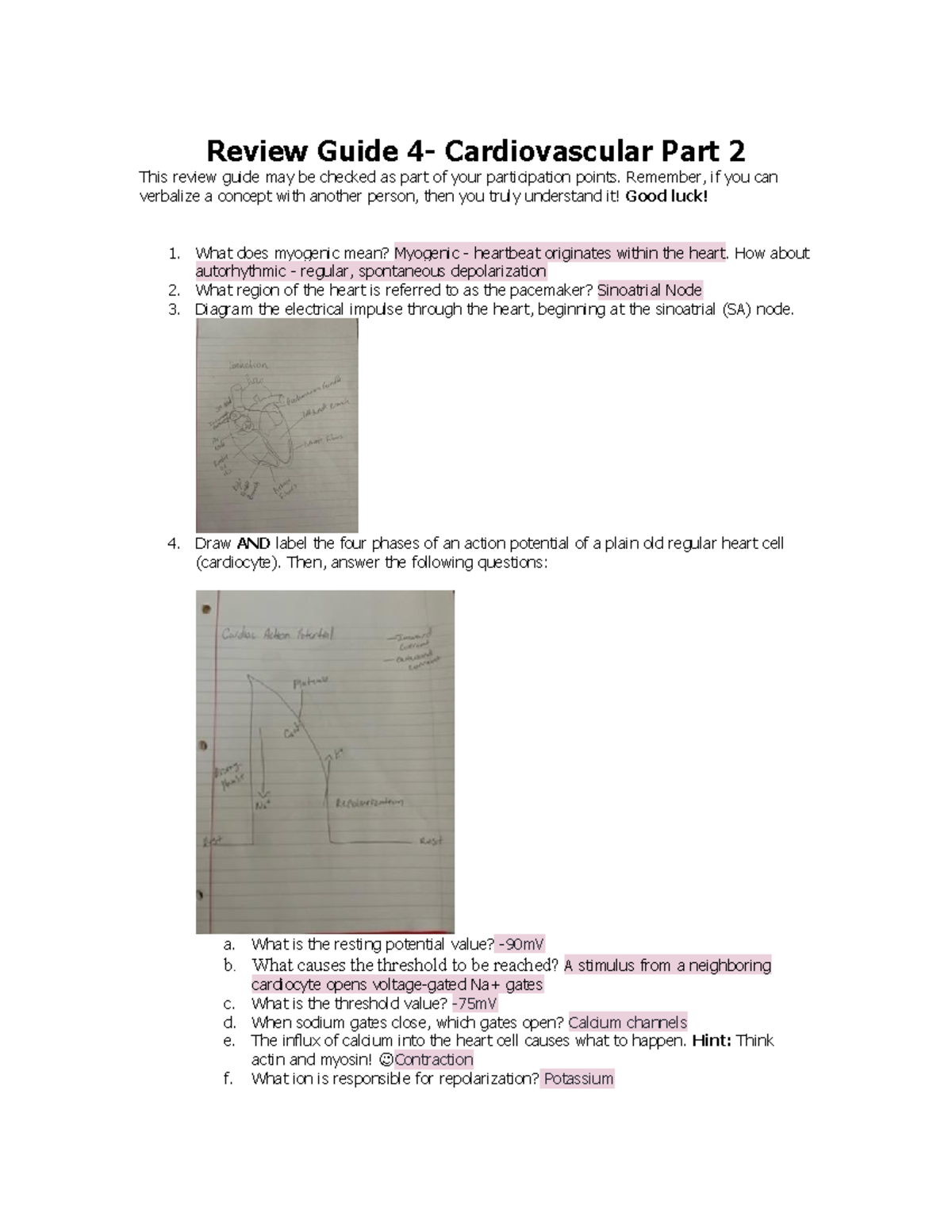 Review Guide 4- Cardiovascular Part 2 - Remember, if you can verbalize ...