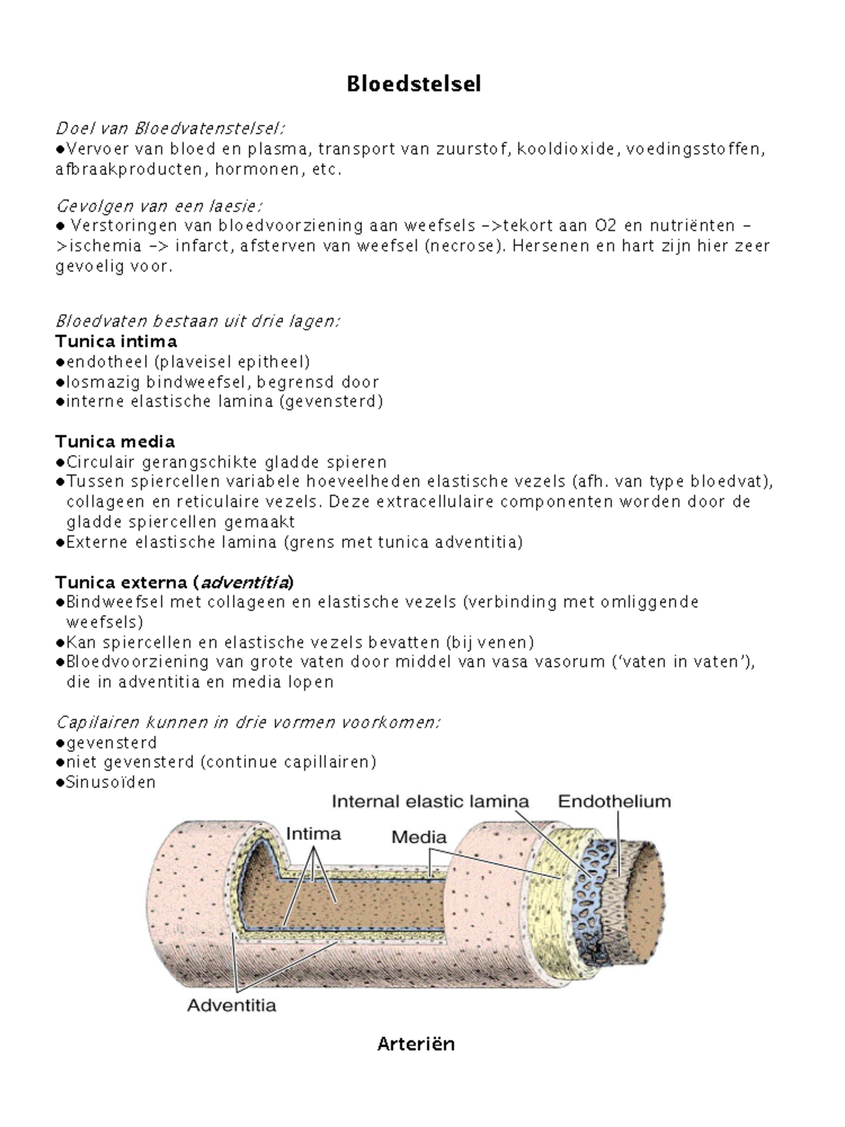 Samenvatting Mens als systeem - Bloedstelsel Doel van Bloedvatenstelsel ...