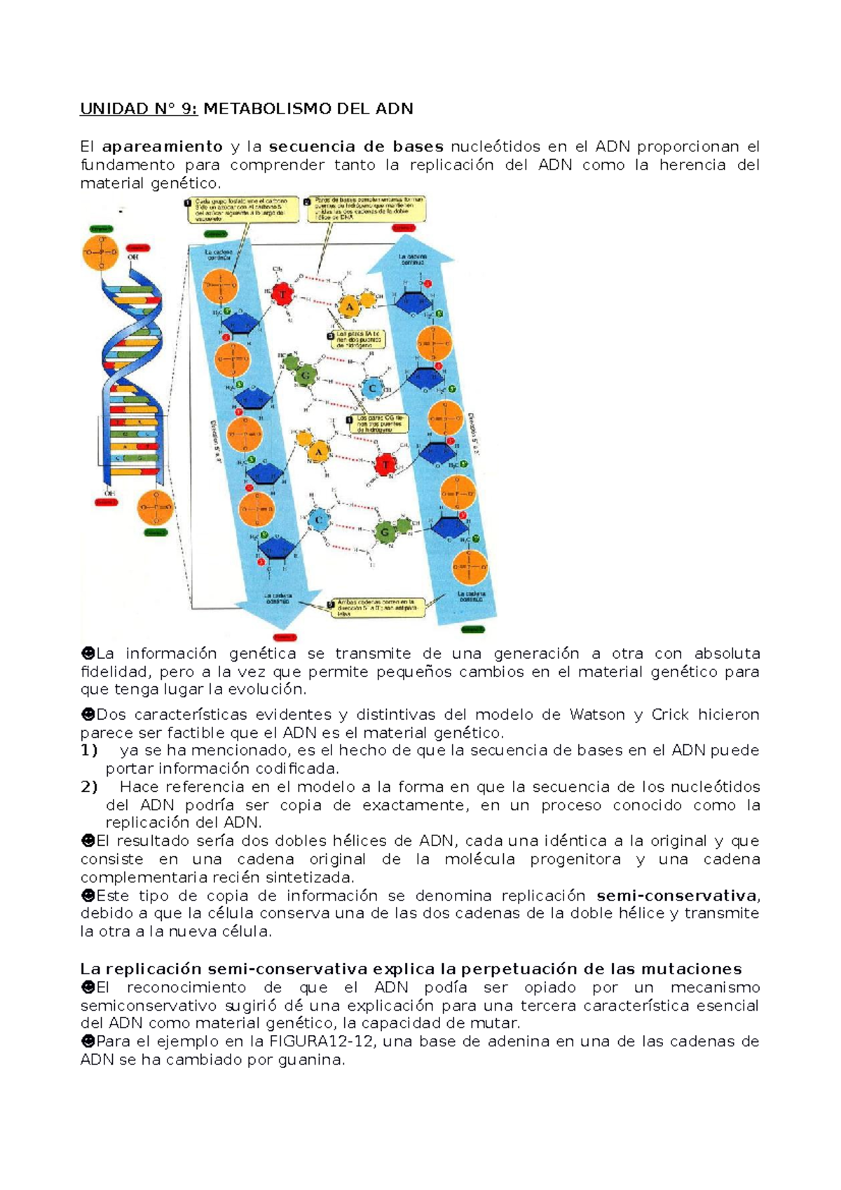 Unidad N°9 - Metabolismo del ADN - UNIDAD N° 9: METABOLISMO DEL ADN El ...