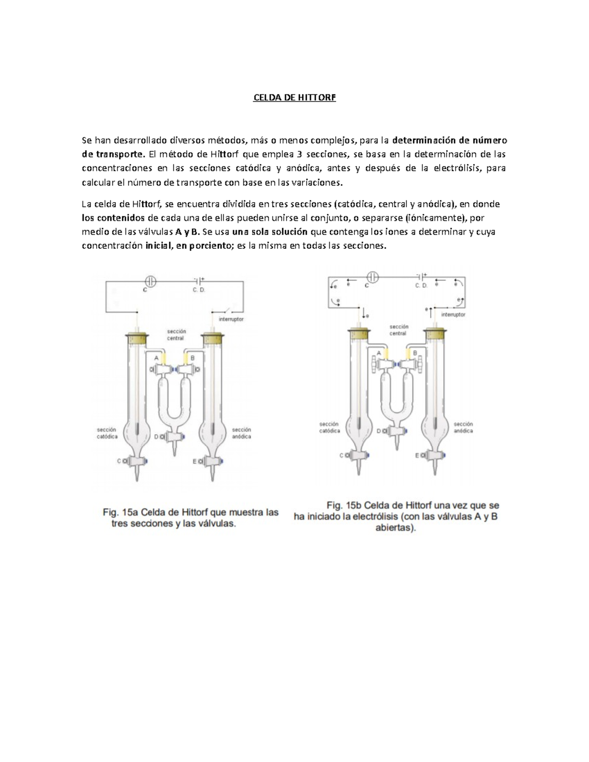 FICO II 15-07-2021 Hittorf - CELDA DE HITTORF Se han desarrollado ...