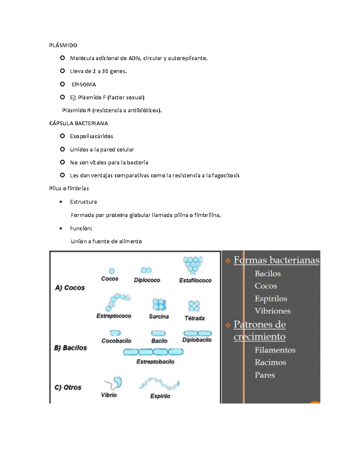 Plásmidos 3 - resumen y toma de nota plasmidos - Biología I - PLÁSMIDO ...