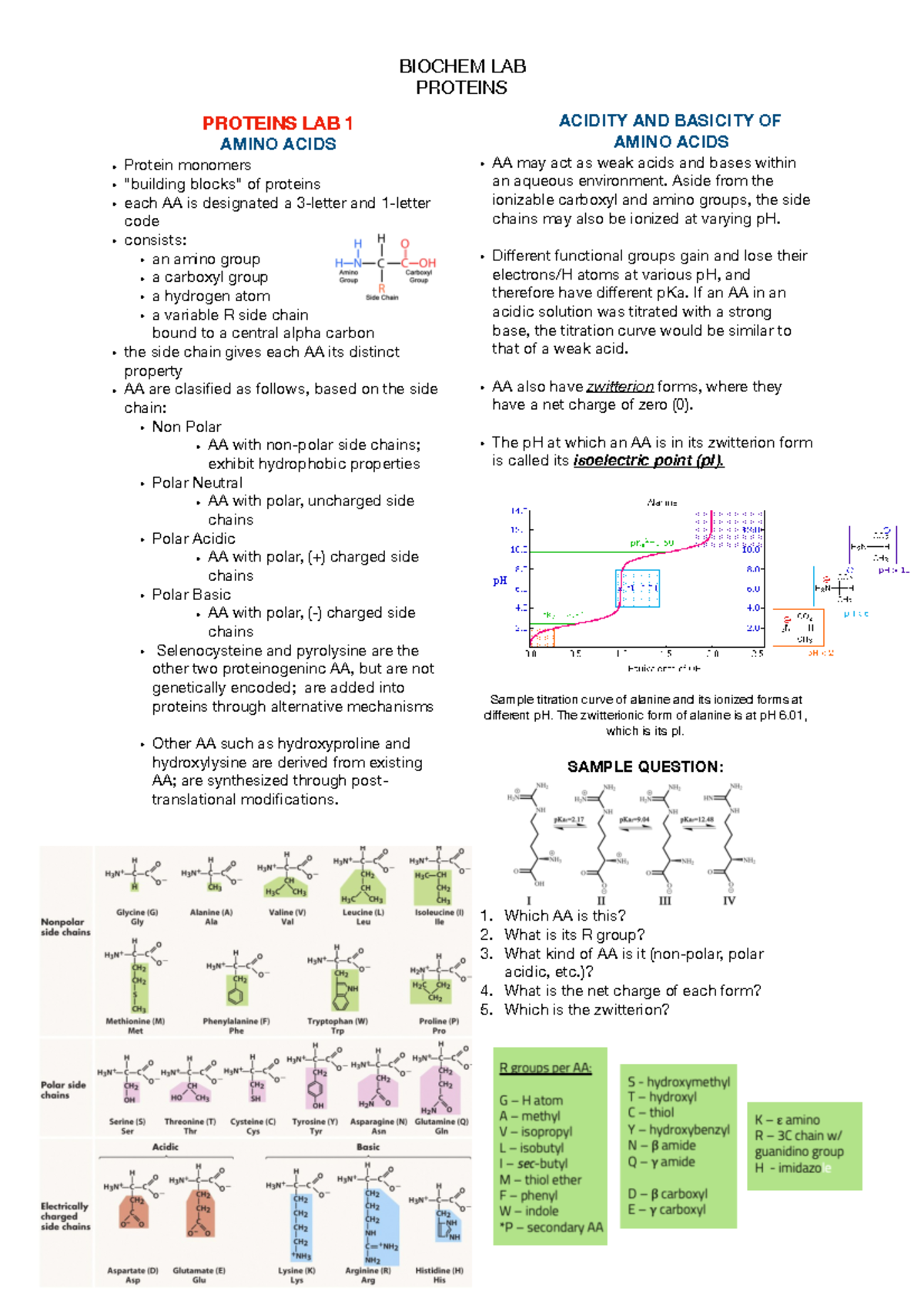Biochemlab 1 - BIOCHEMISTRY - PROTEINS - PROTEINS PROTEINS LAB 1 AMINO ...