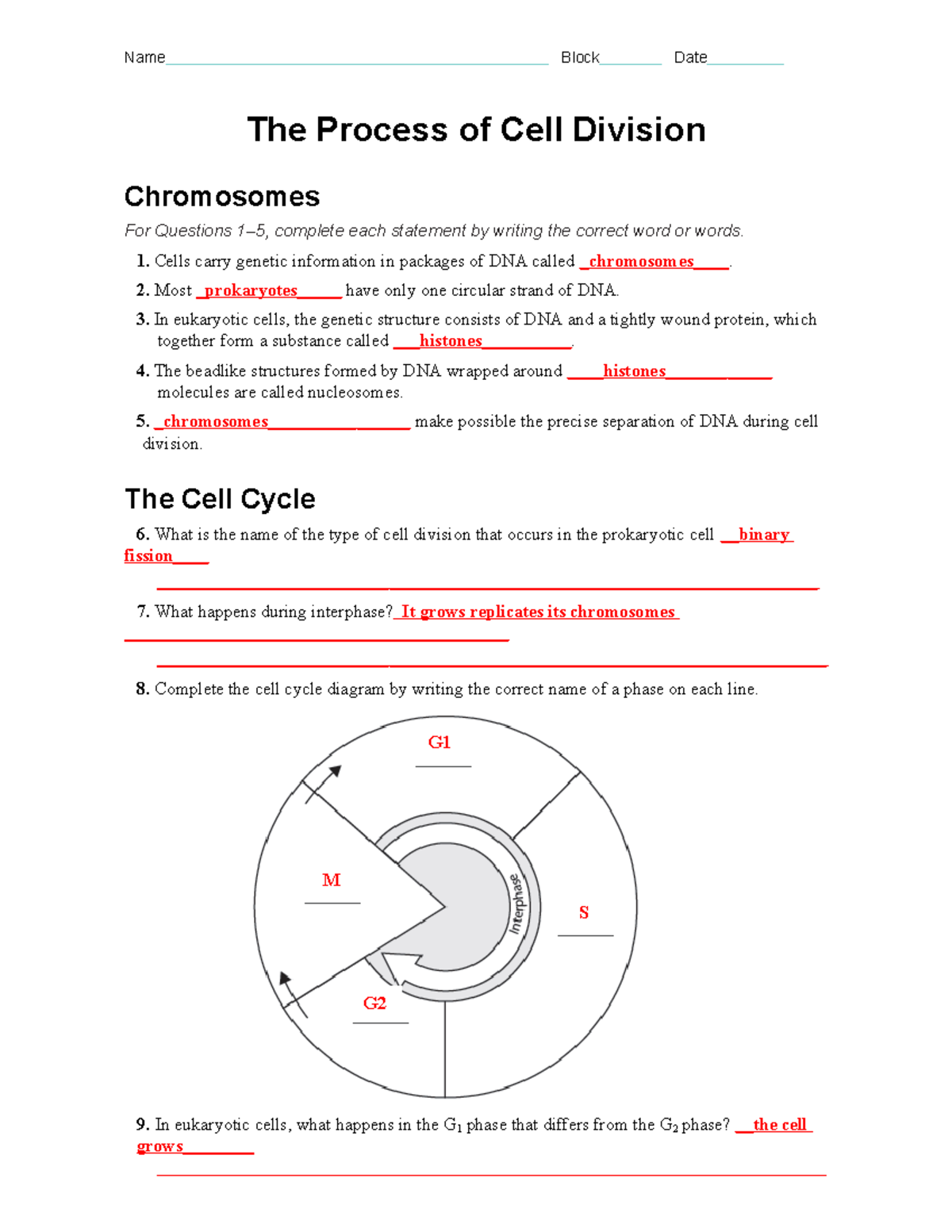 The Process of Cell Division - Name Block Date The Process of Cell ...