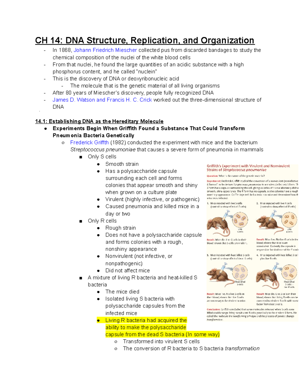 Ch14: DNA structure, Replication and Organization - Watson and Francis ...