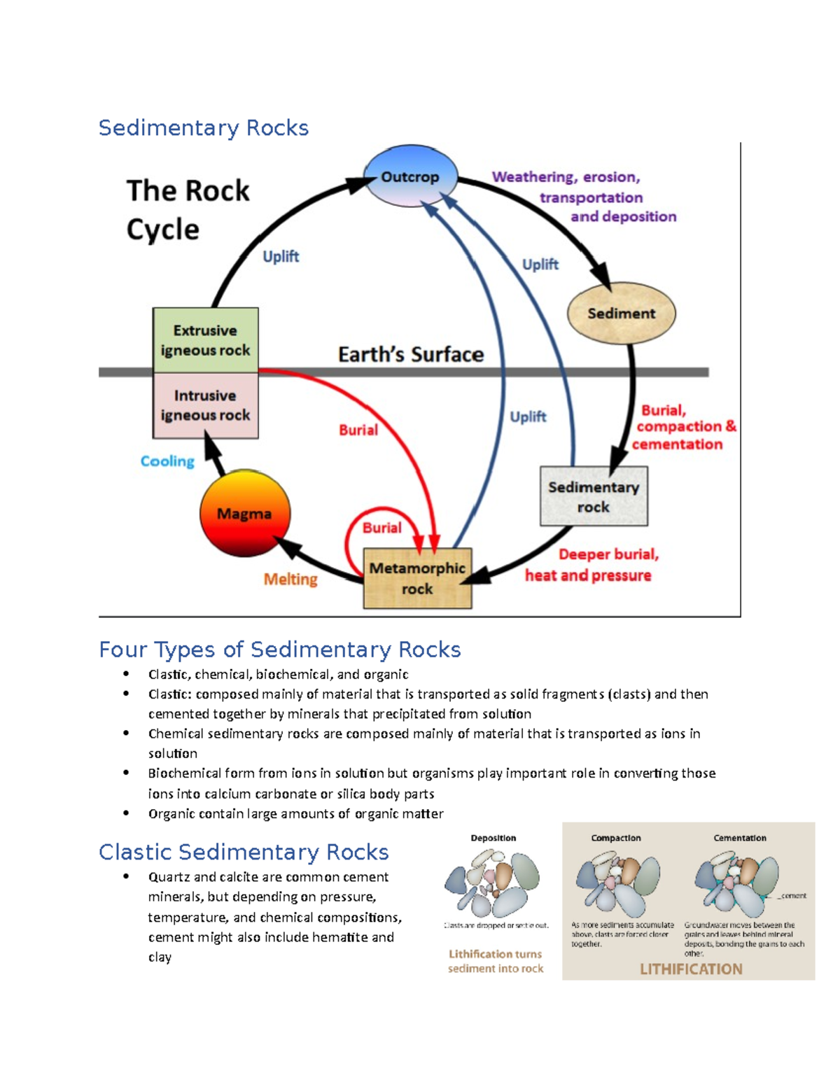 Sedimentary Rocks - Lecture notes 11 - Sedimentary Rocks Four Types of ...