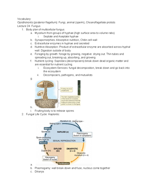 BIS 2C Lab Practical Study Guide - W23 - BIS 2C Lab Practical Study ...
